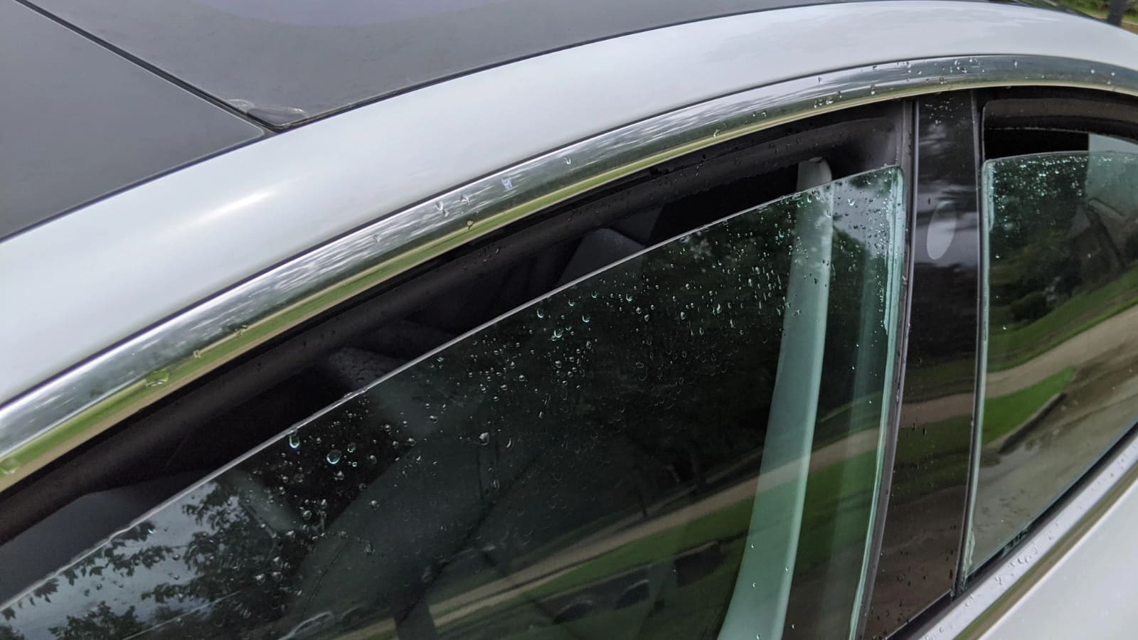 Protecting Your Vehicle's Interior from Mold and Mildew Stains - ECP